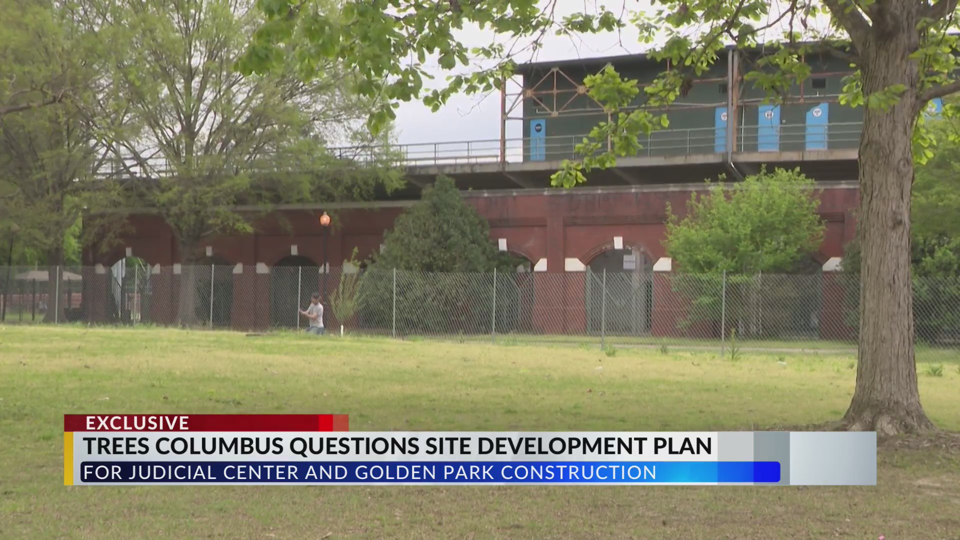 Trees Columbus questions if city is following tree ordinance on Golden ...
