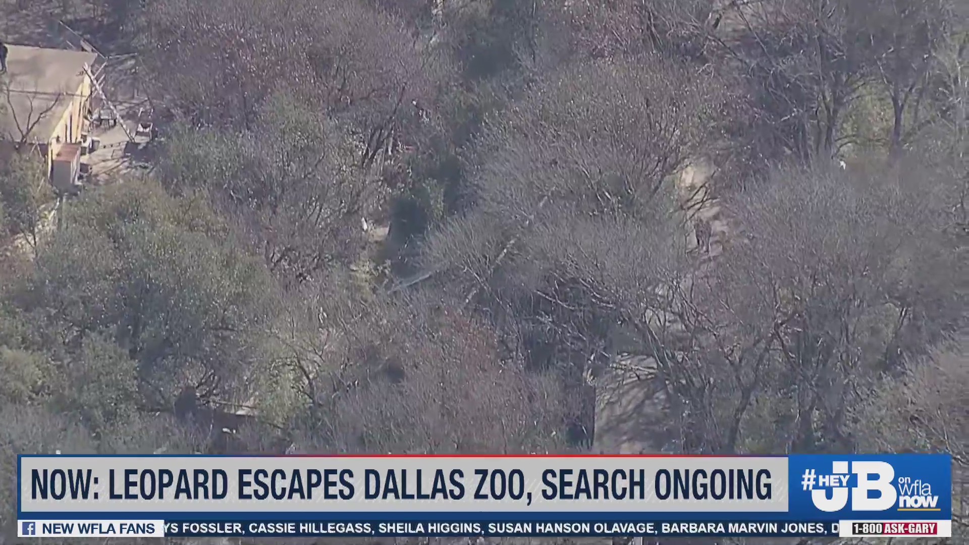 Dallas Zoo closed after leopard escapes enclosure – WFLA