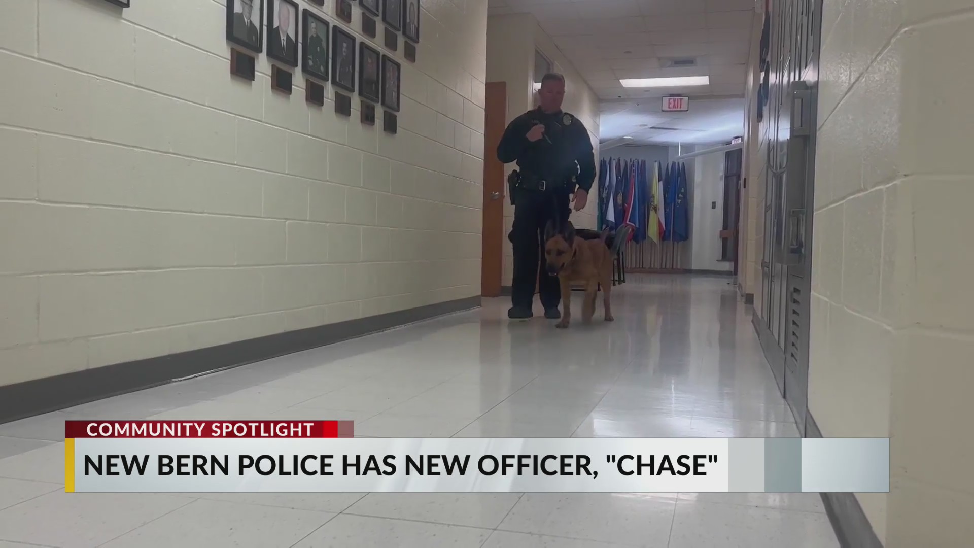 New Bern Police Department introduces its newest K9 – WNCT