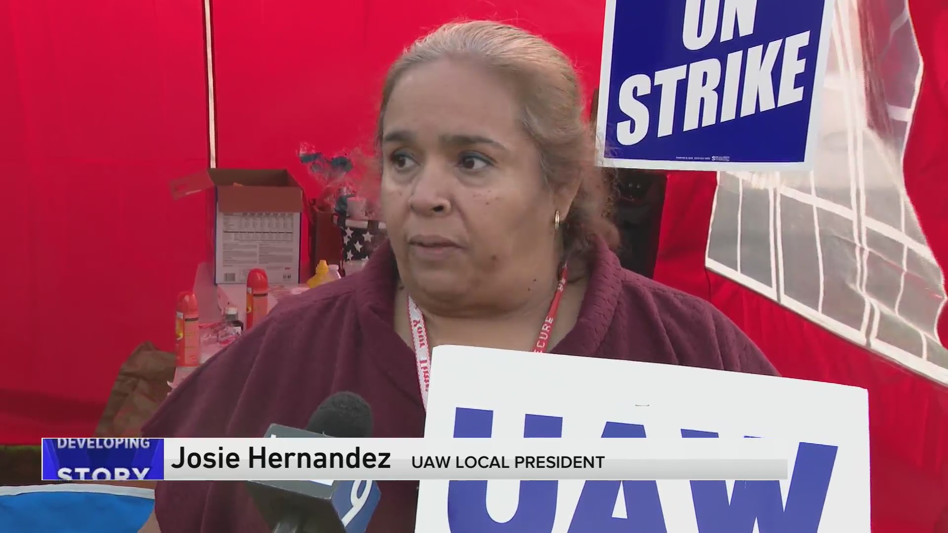 UAW strike expands to GM, Stellantis plants in suburbs – WGN-TV