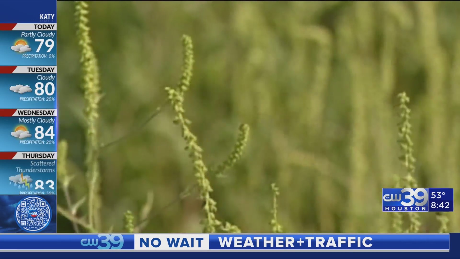 Bad news for asthma sufferers, Houston’s allergy season in full swing ...