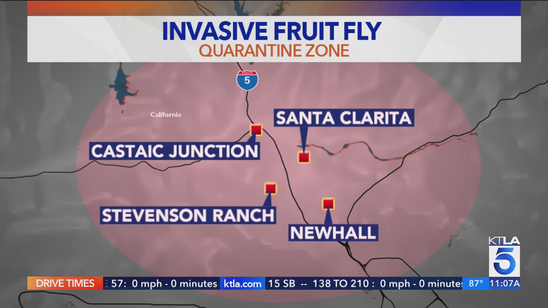 Southern California neighborhood under quarantine due to invasive fly ...