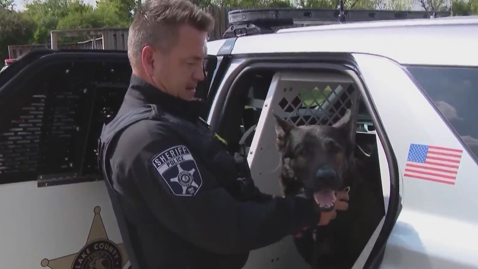 Dax, Lake County Sheriff K9 injured while capturing suspect, retires ...