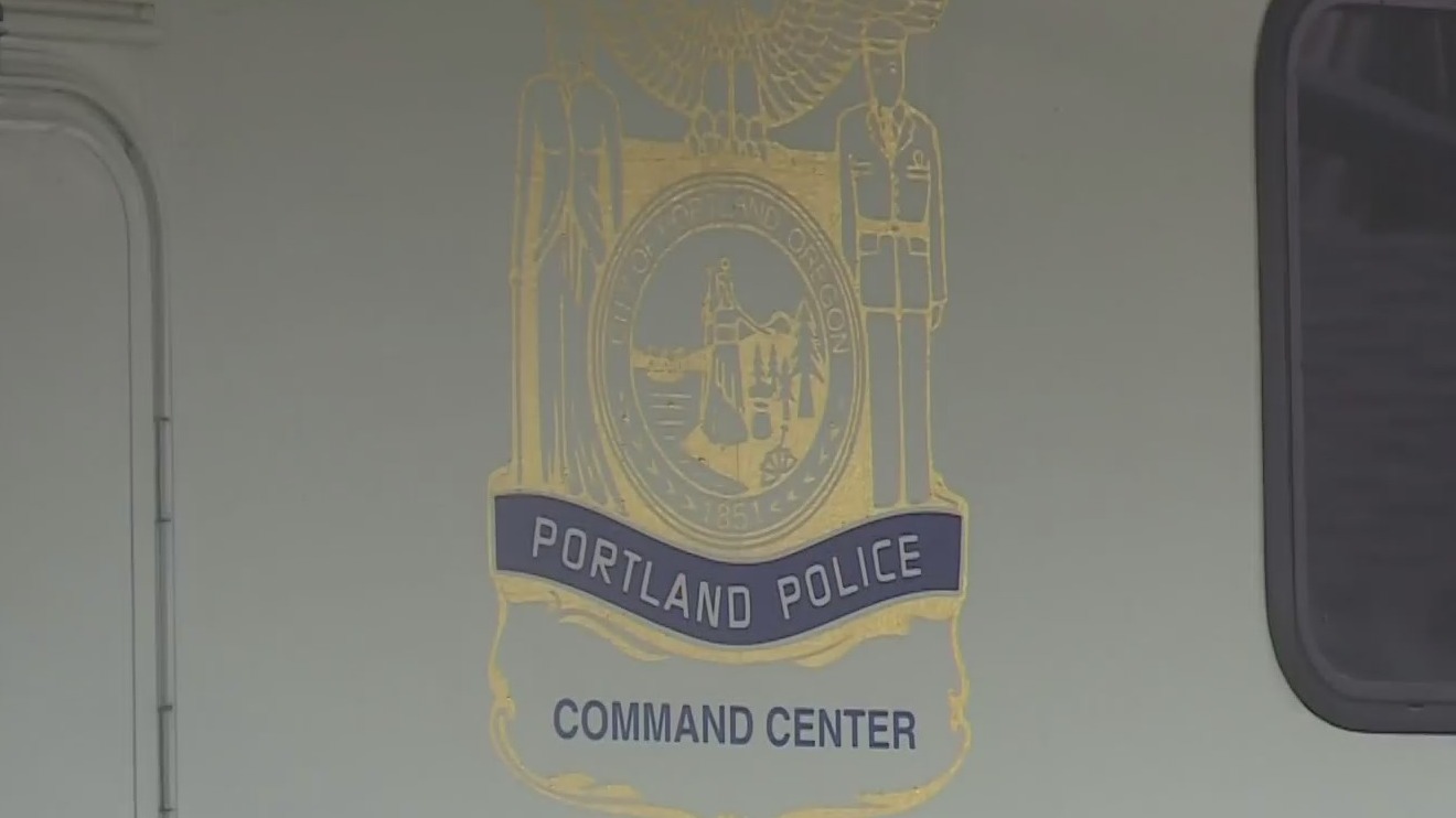 6-year-old boy killed in Northeast Portland dog mauling incident – KOIN.com