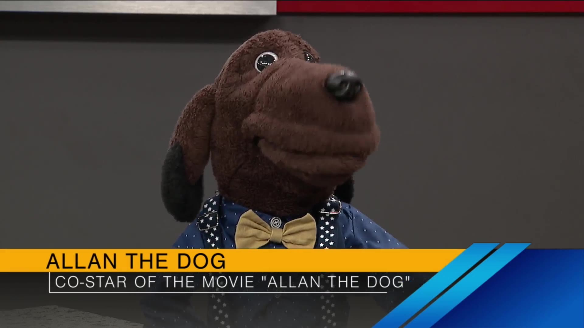 Allan the Dog here to chat with us about his new comedy feature film ...