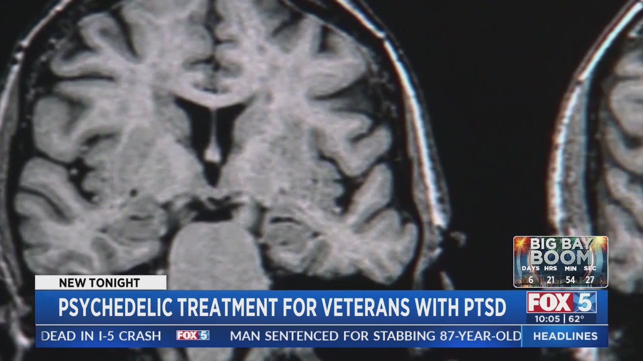 Non-Profit Helps Veterans Through Psychedelic Treatments – FOX 5 San ...