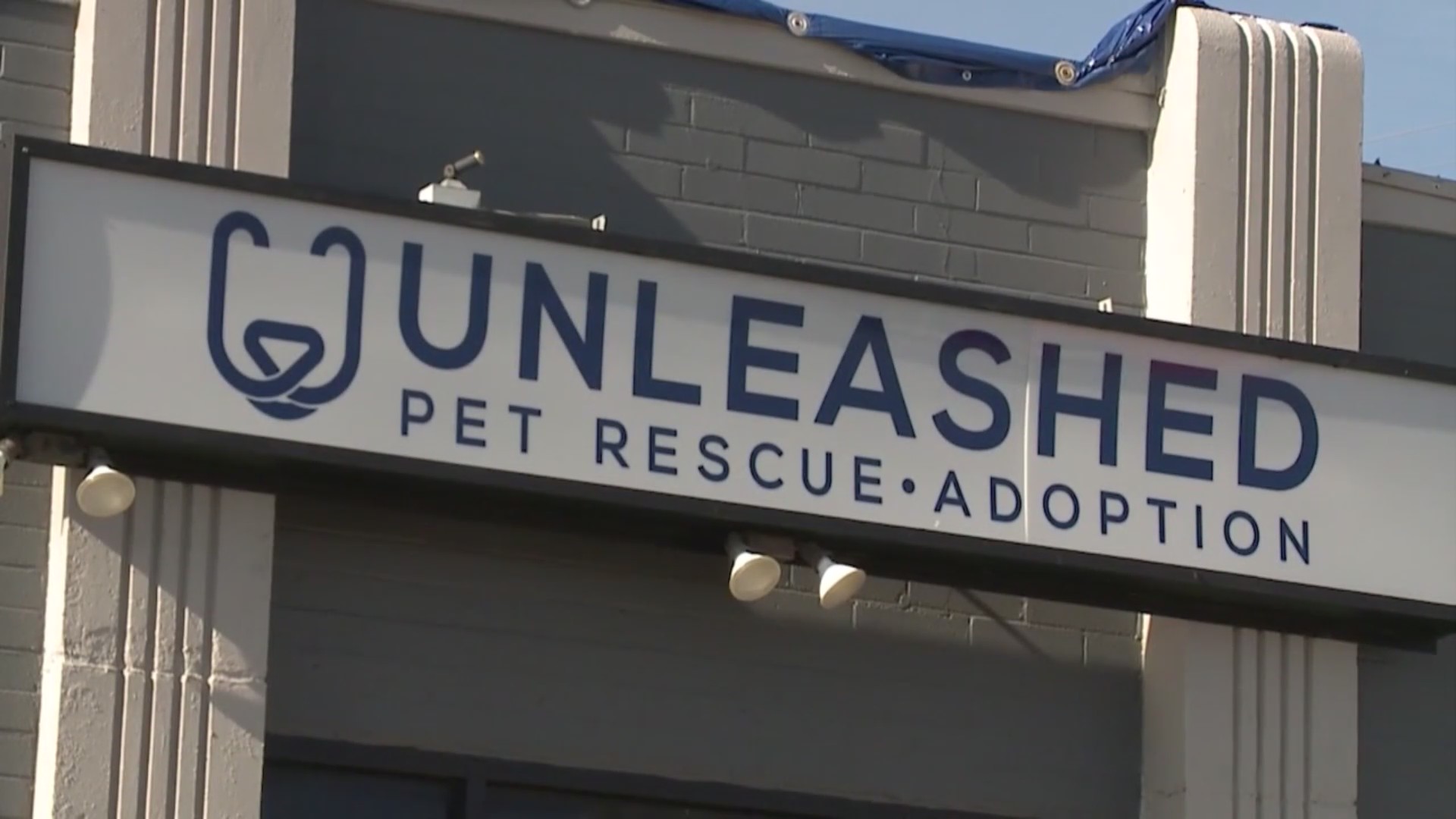 Kansas agency takes aggressive step to force Unleashed Pet Rescue to ...