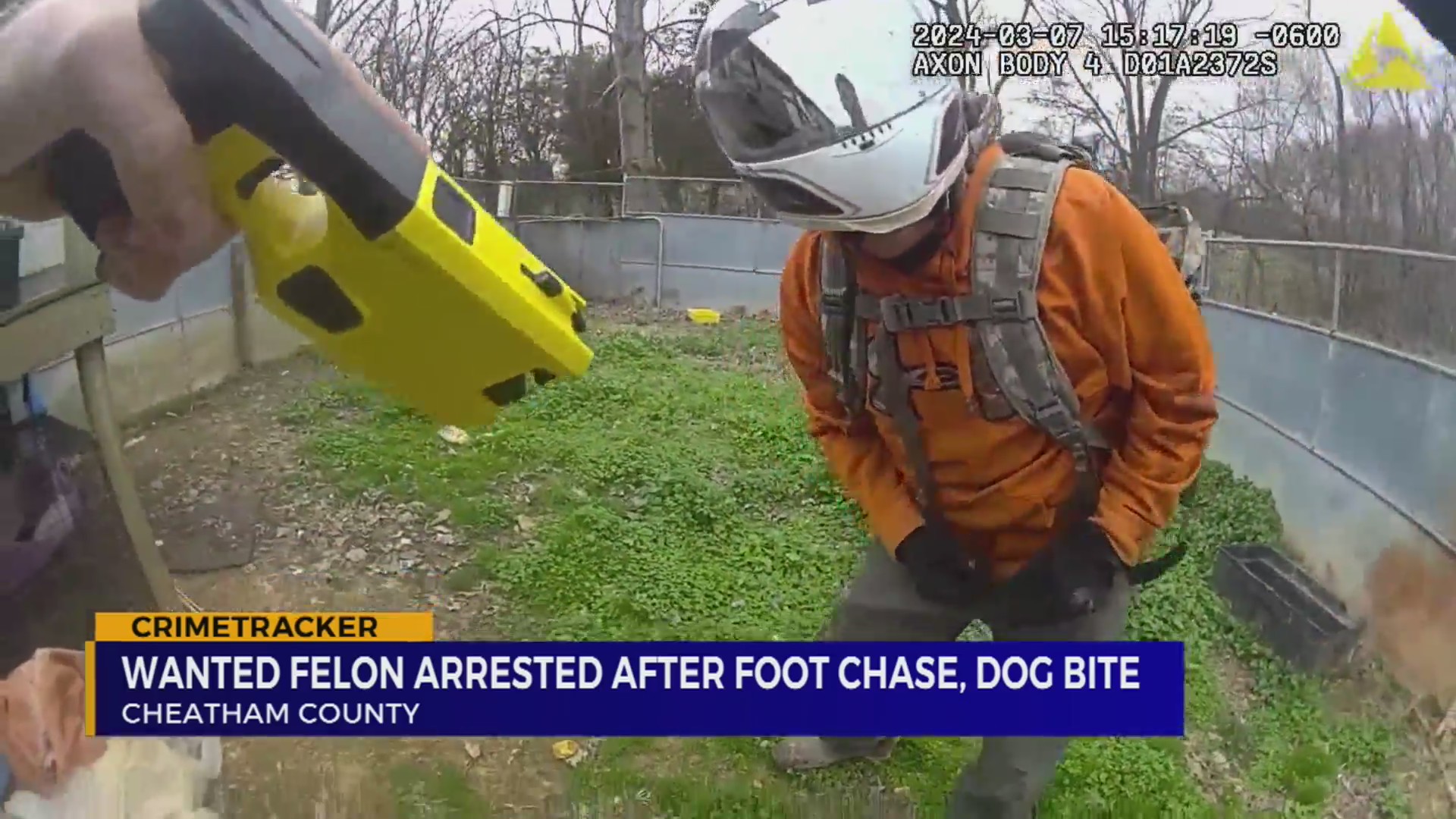 Wanted felon arrested after foot chase, dog bite in Cheatham County ...