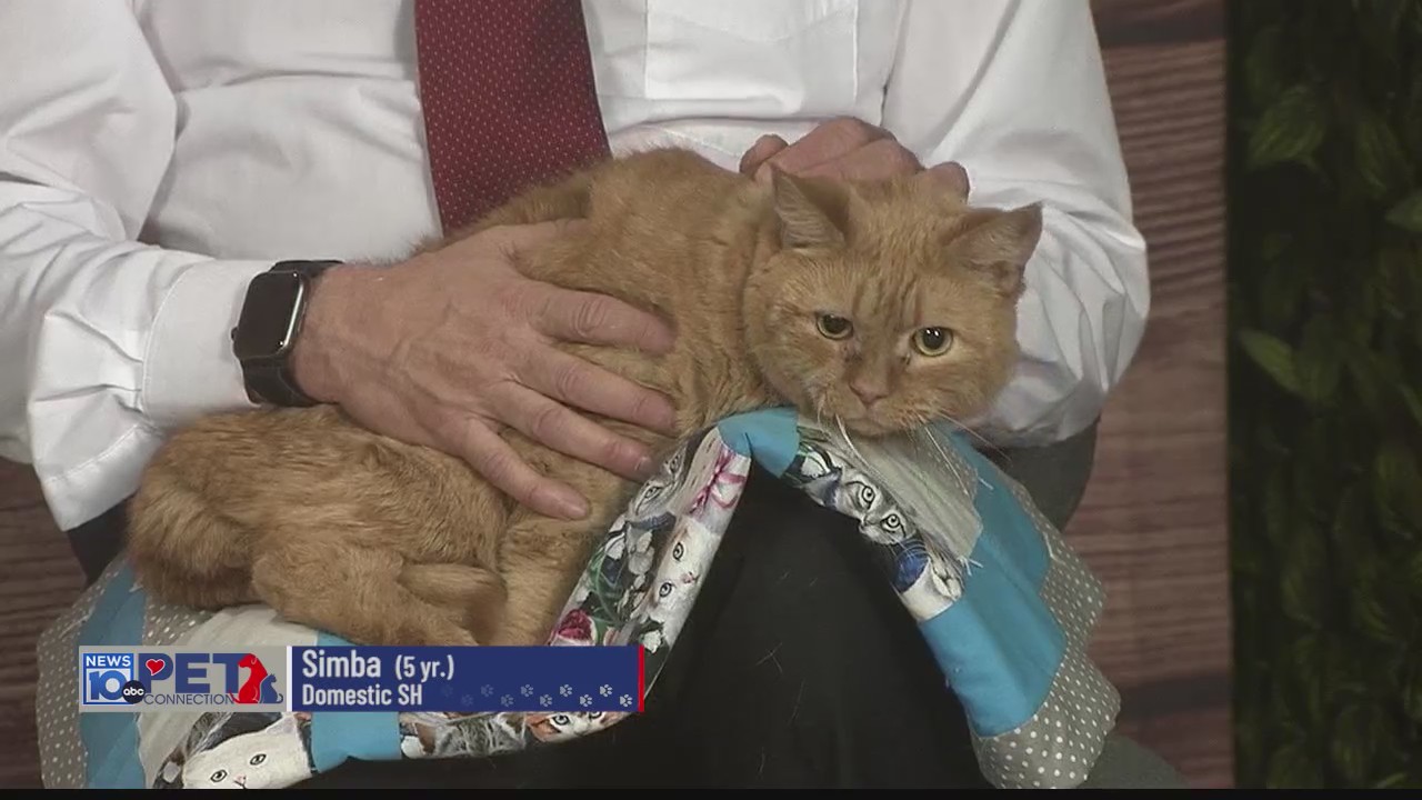 Simba – NEWS10 ABC
