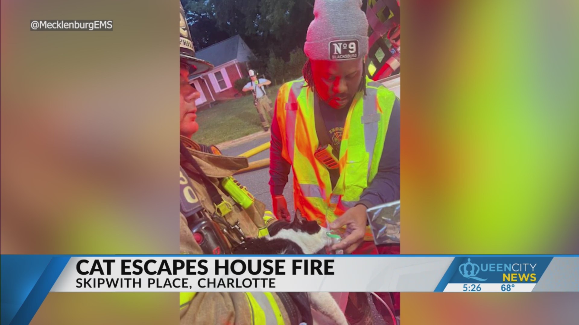Watch: Cat escapes Charlotte house fire with all 9 lives intact, thanks ...
