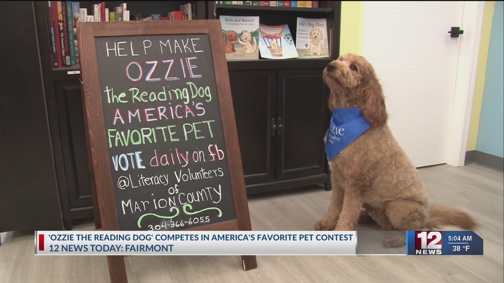 Ozzie the Reading Dog competes to be America’s Favorite Pet – WBOY.com