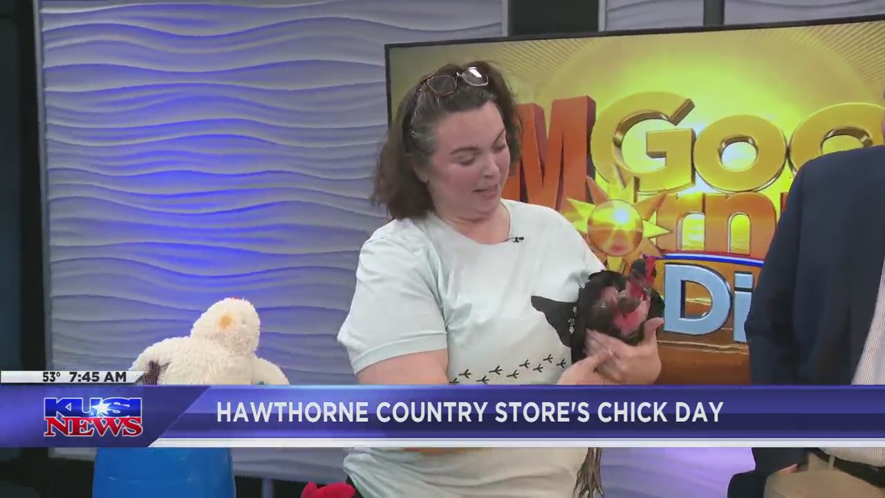 Hawthorne Country Store’s Chick Day – FOX 5 San Diego & KUSI News