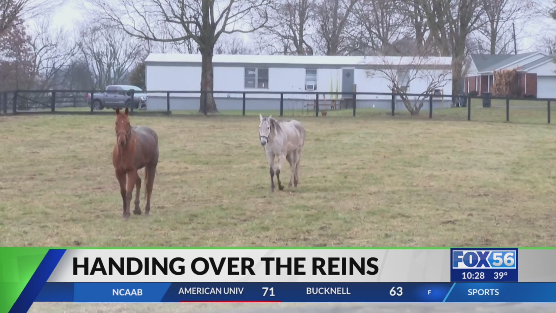 There’s no place like home: Famed Scott County thoroughbred farm ...