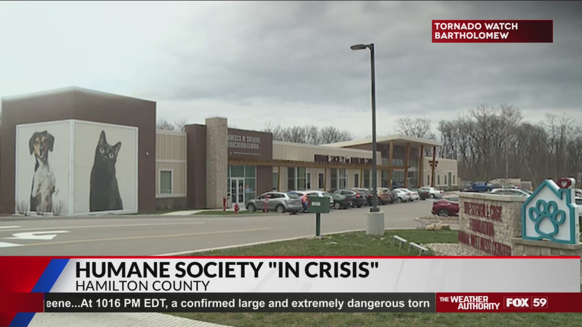 Hamilton County Humane Society ‘in crisis’ – Fox 59