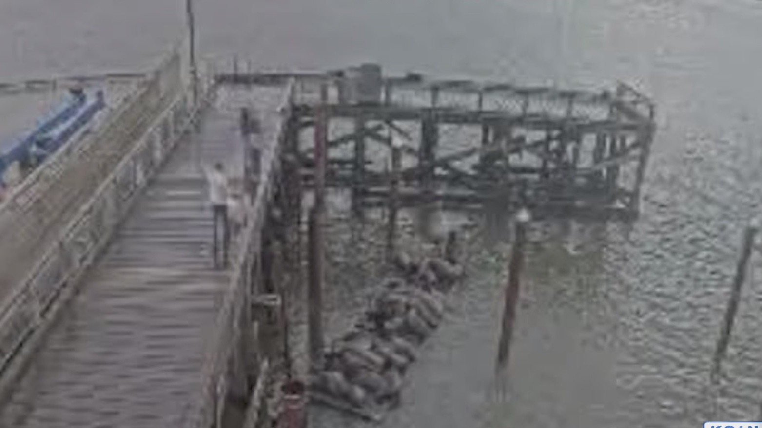 Newport Sea Lion Docks destroyed by winter storm – KOIN.com