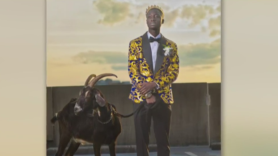 Goats taking over prom season in 2023 | On Balance – NewsNation