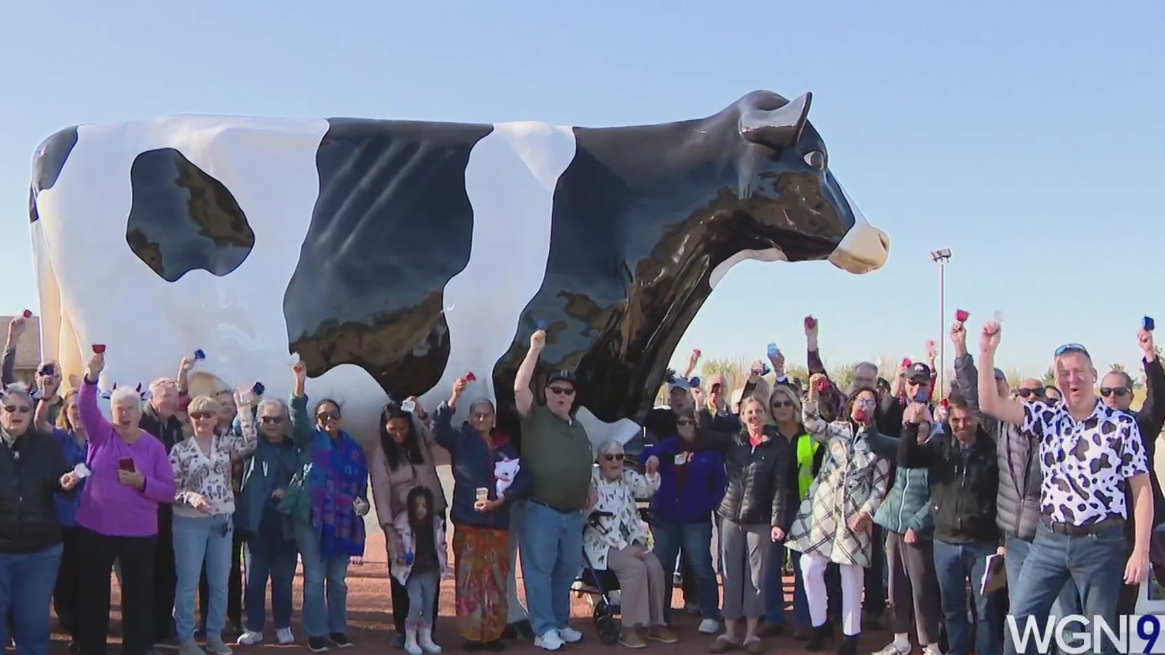 Lake County cow sculpture’s winning name revealed – WGN-TV