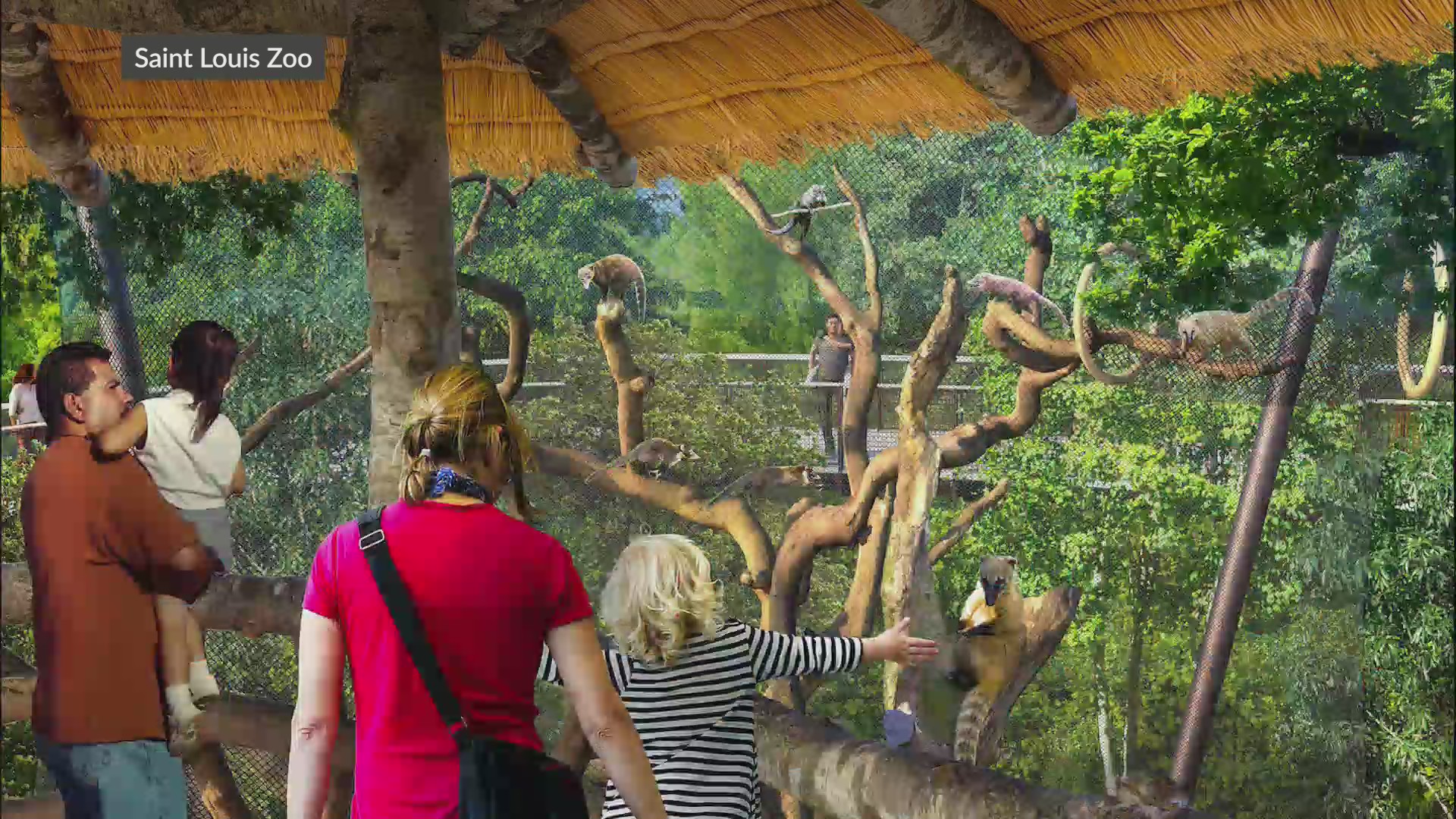 Saint Louis Zoo announces new plans for former Children’s Zoo site – FOX 2