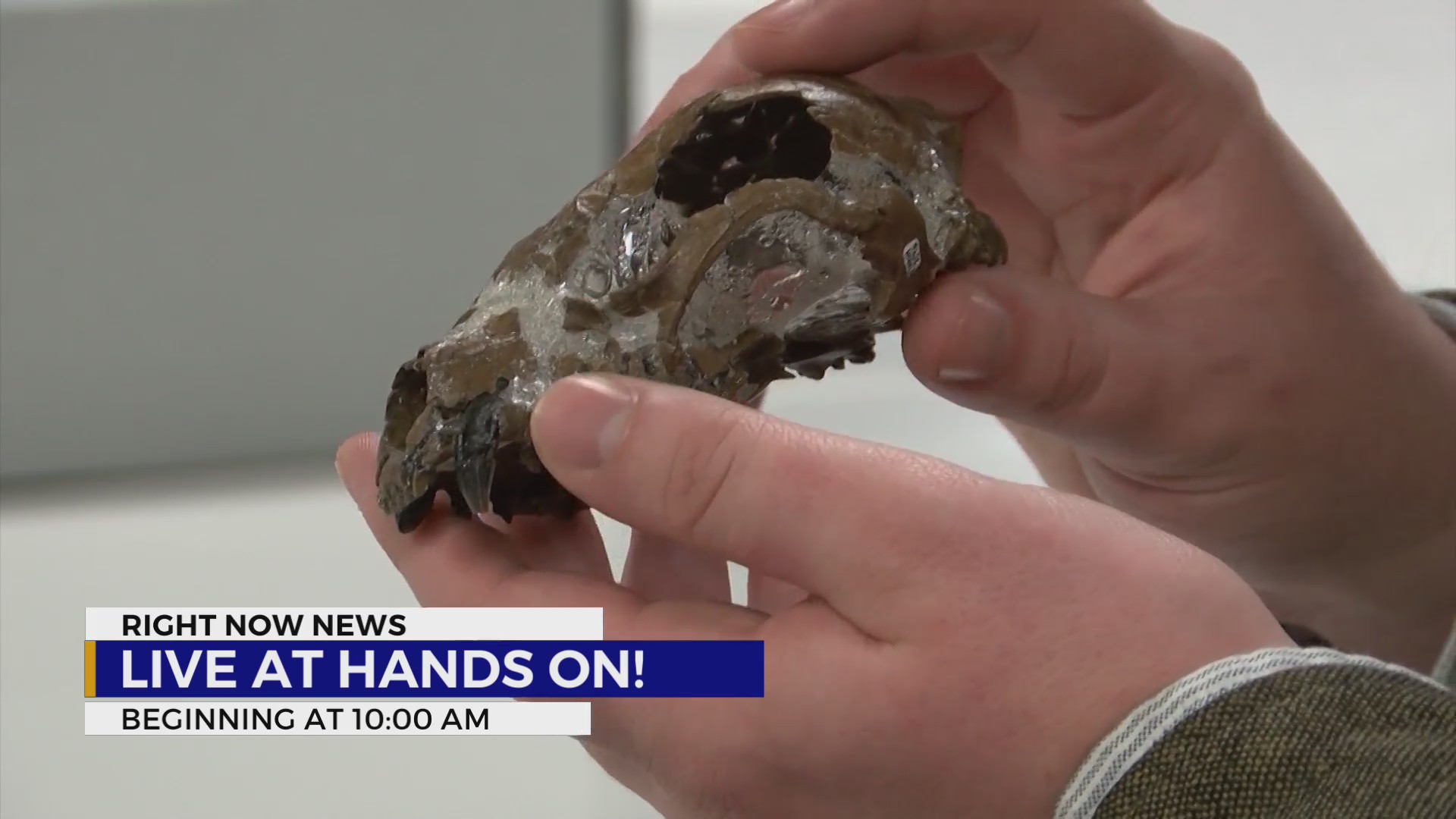 News Channel 11 live at Hands On! Discovery Center – WJHL | Tri-Cities ...