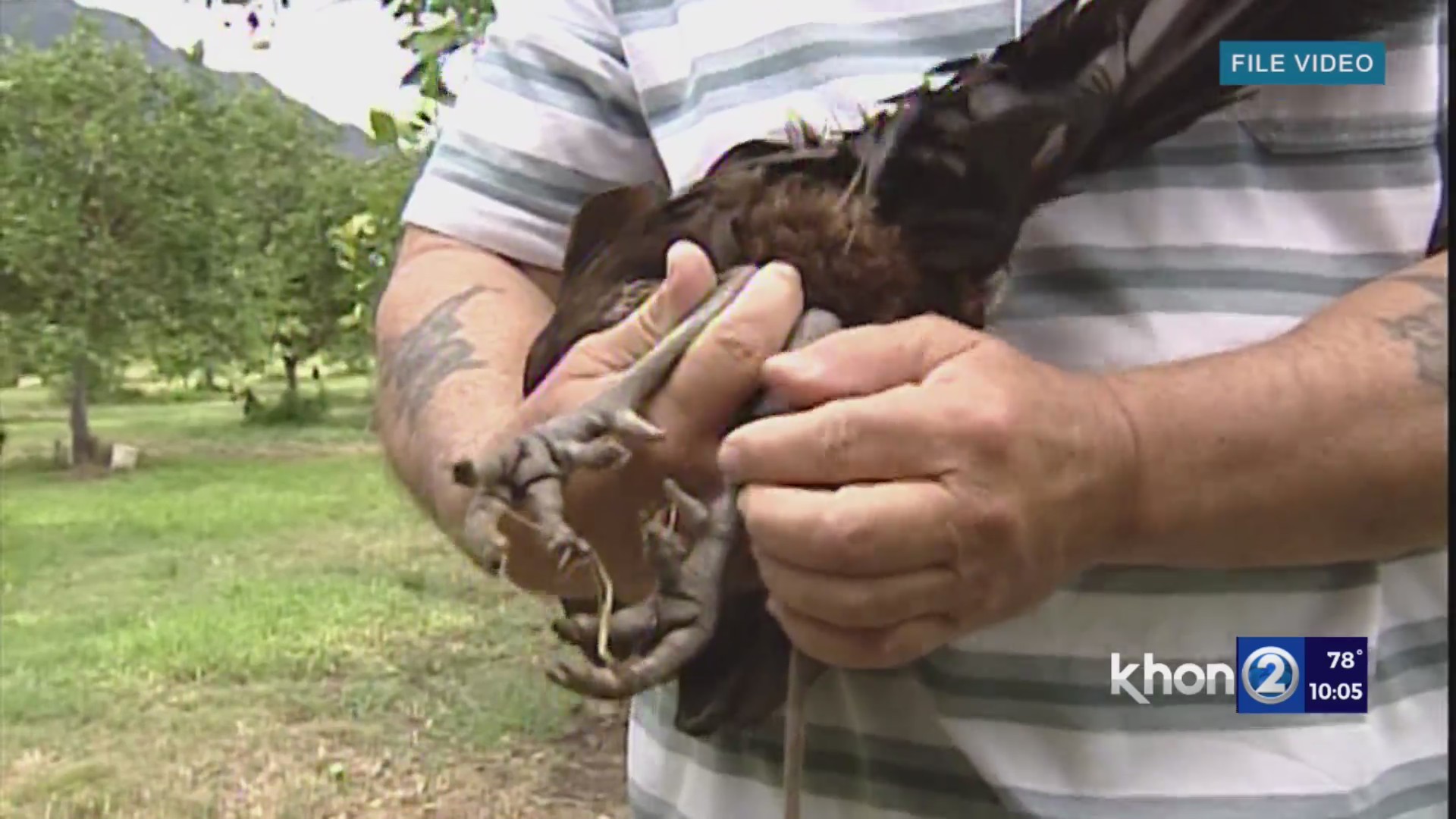 ‘Enough is enough’ Humane society sounds off after fatal shooting at ...