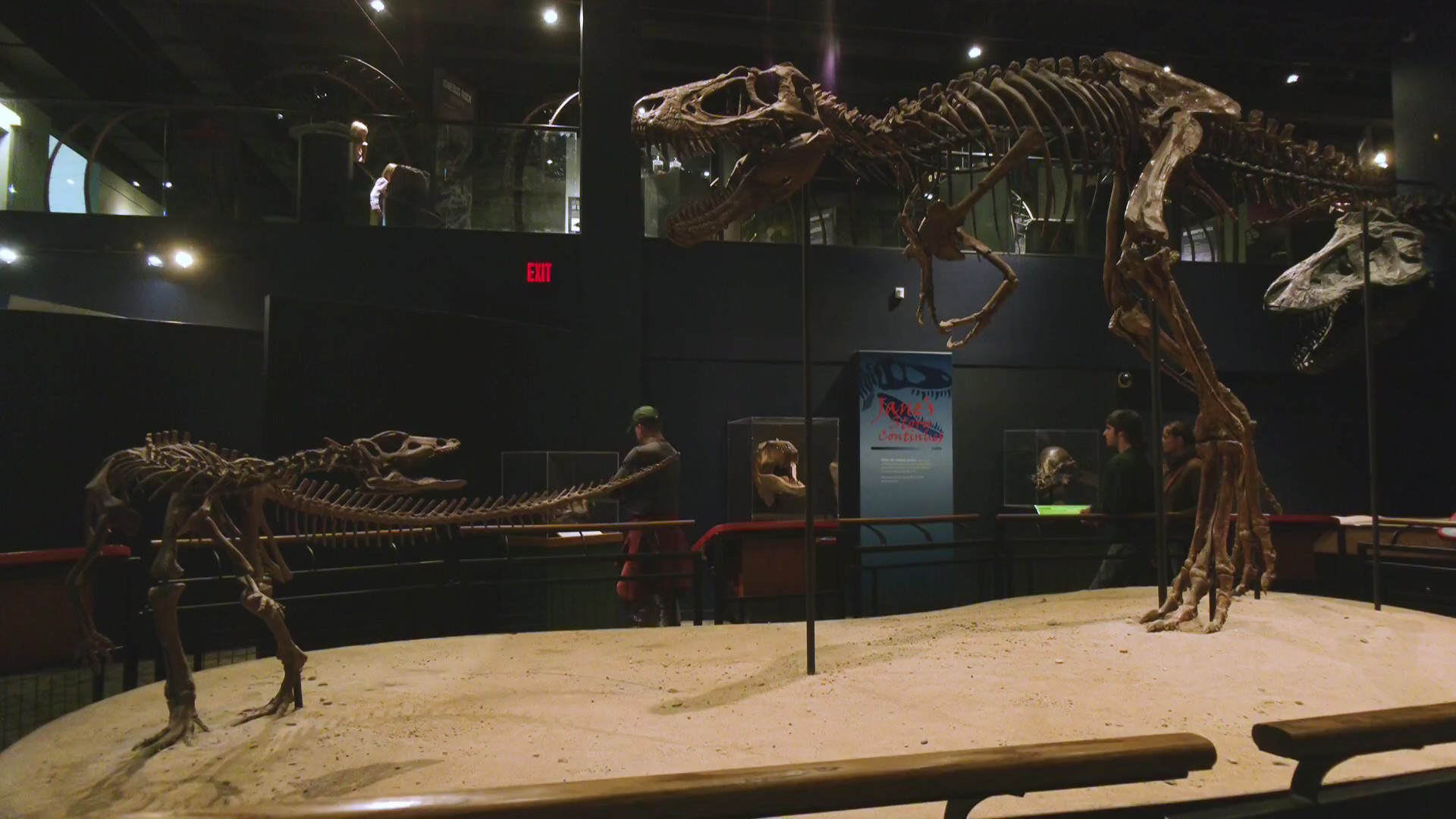 ‘Paleofest 2023’ roars its way into Rockford – MyStateline | WTVO News ...