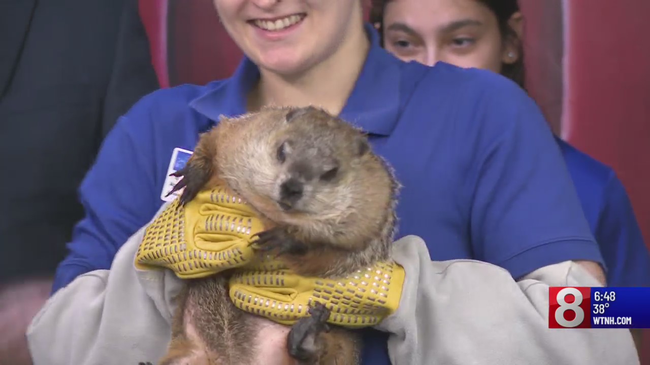 Early spring or longer winter? Connecticut’s official groundhog makes ...
