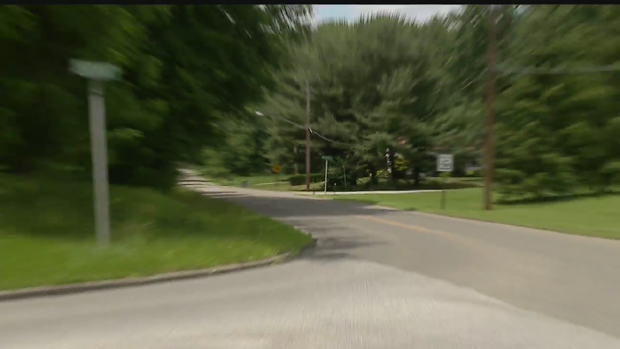 Rachel Lewis and Jim Habuda seeking justice after hit and run incident ...
