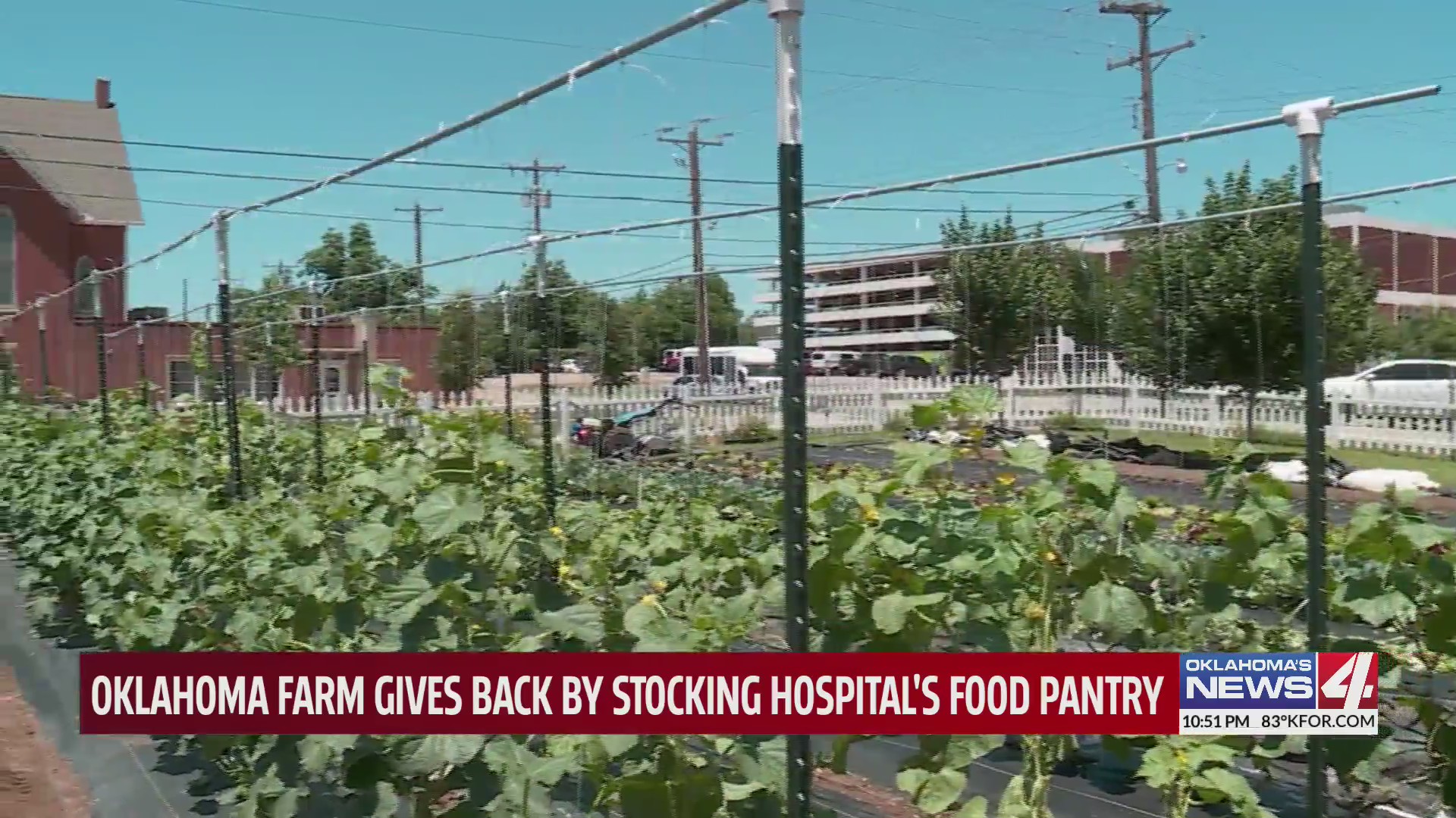 Farm aims to give back to local food pantries with fresh produce – KFOR ...