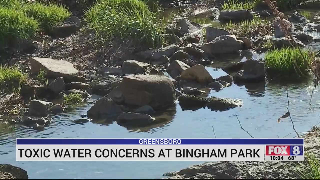 Bingham Park remediation in Greensboro shaping up after decades of ...