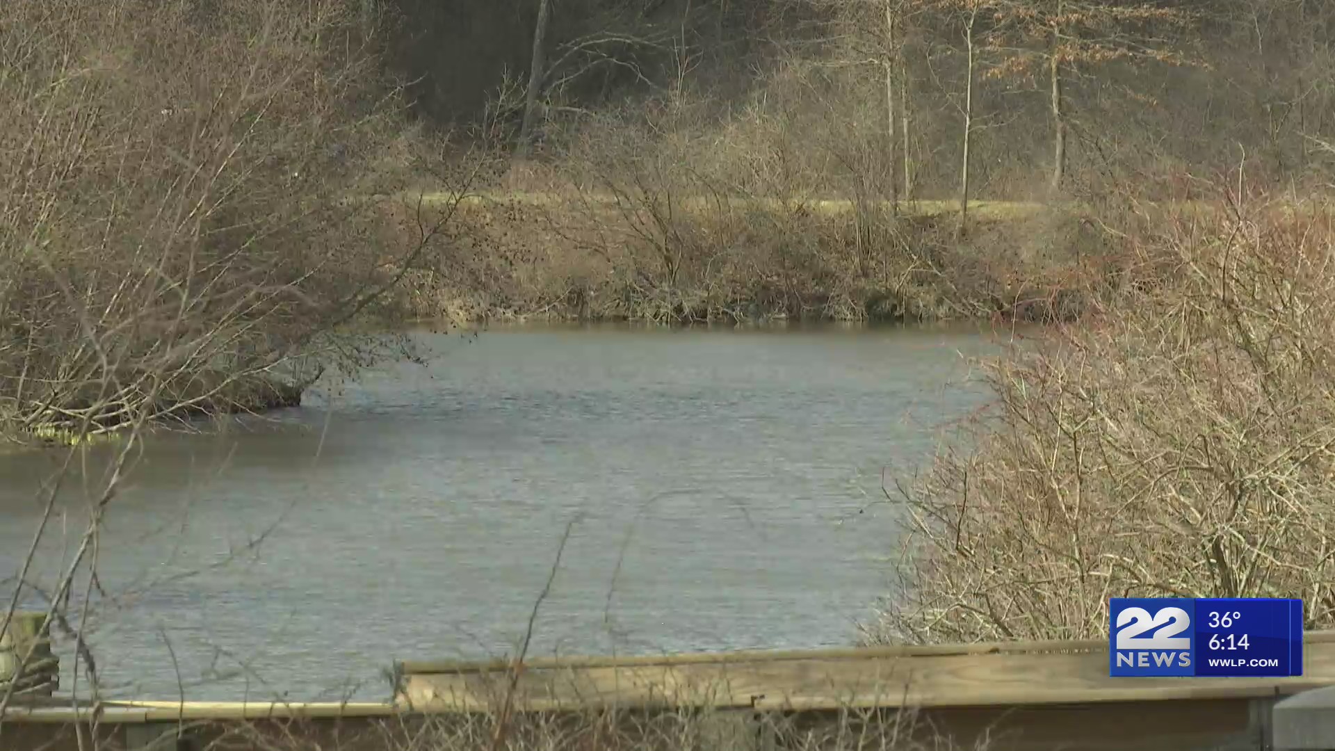 Dry and breezy conditions create elevated brush fire risk – WWLP