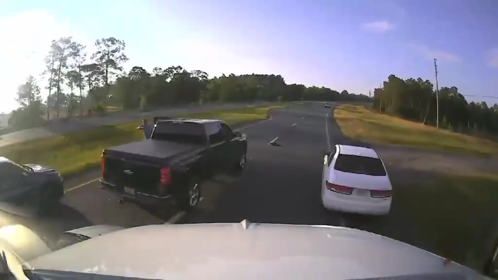 Turtle Traffic Jam Leads to Crash on Florida Highway – MyStateline.com