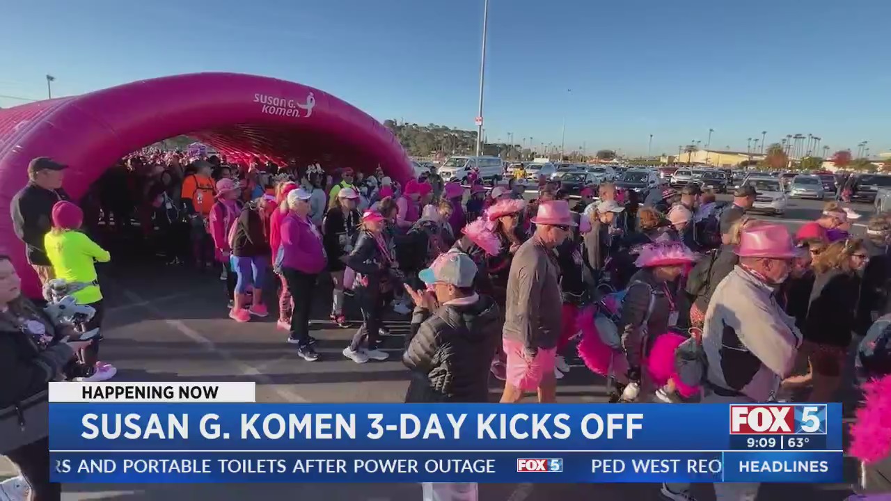 Community comes out to fight breast cancer at Susan G. Komen San Diego ...