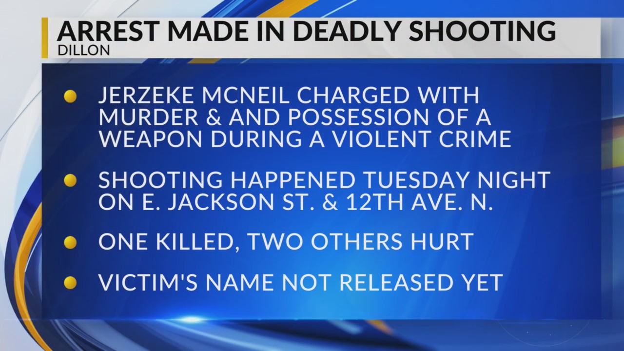 Suspect arrested, charged in deadly Dillon shooting, police chief says ...