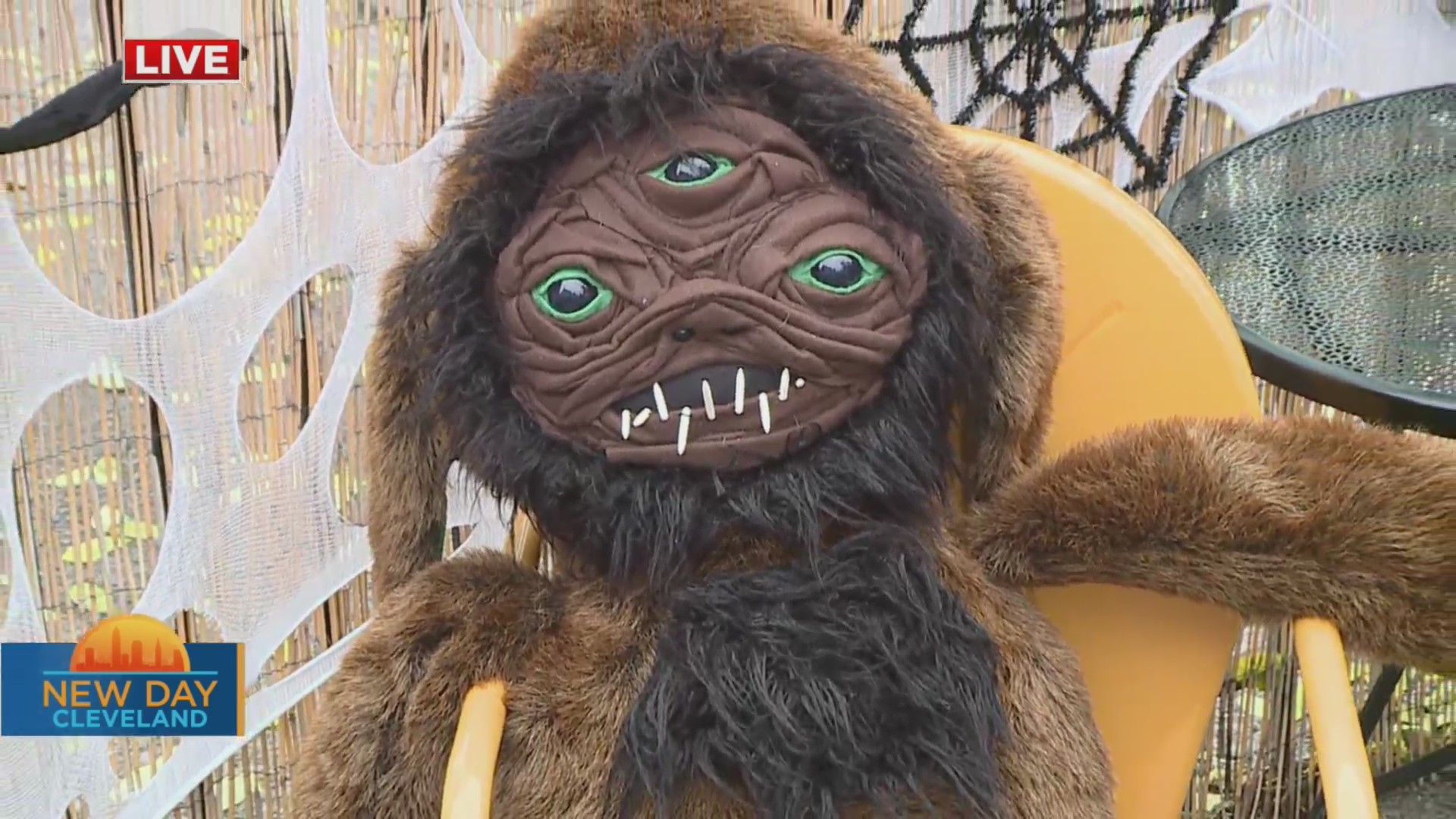 New Day Cleveland: Prosperity Social Club – Fox 8 Cleveland WJW