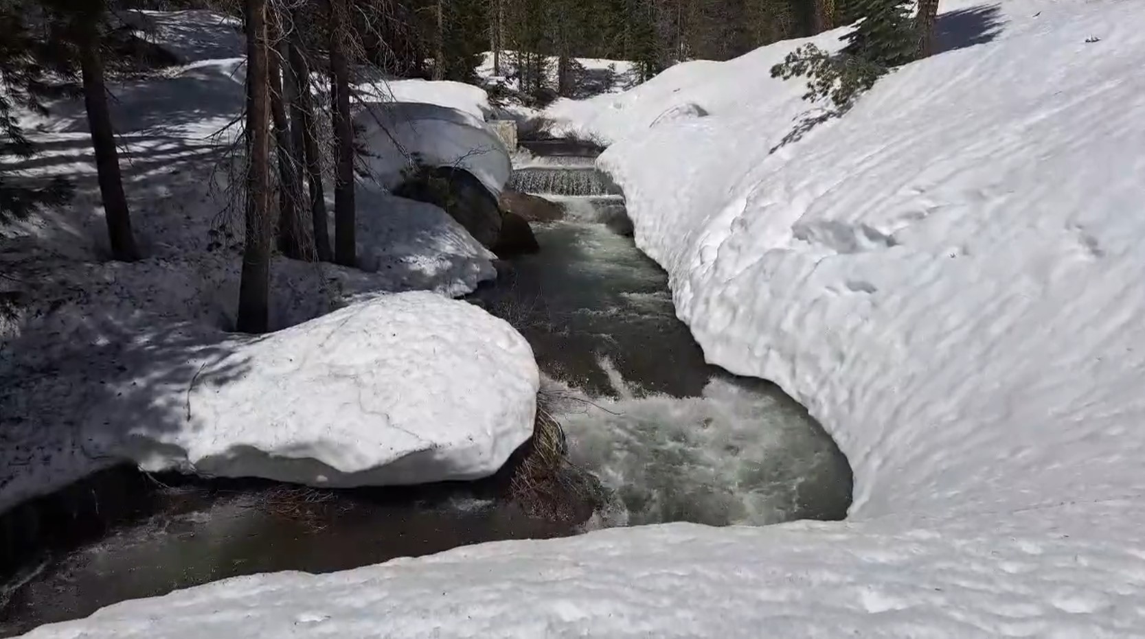 Creeks gush in Sierra Nevada melting of historic snowpack intensifies ...