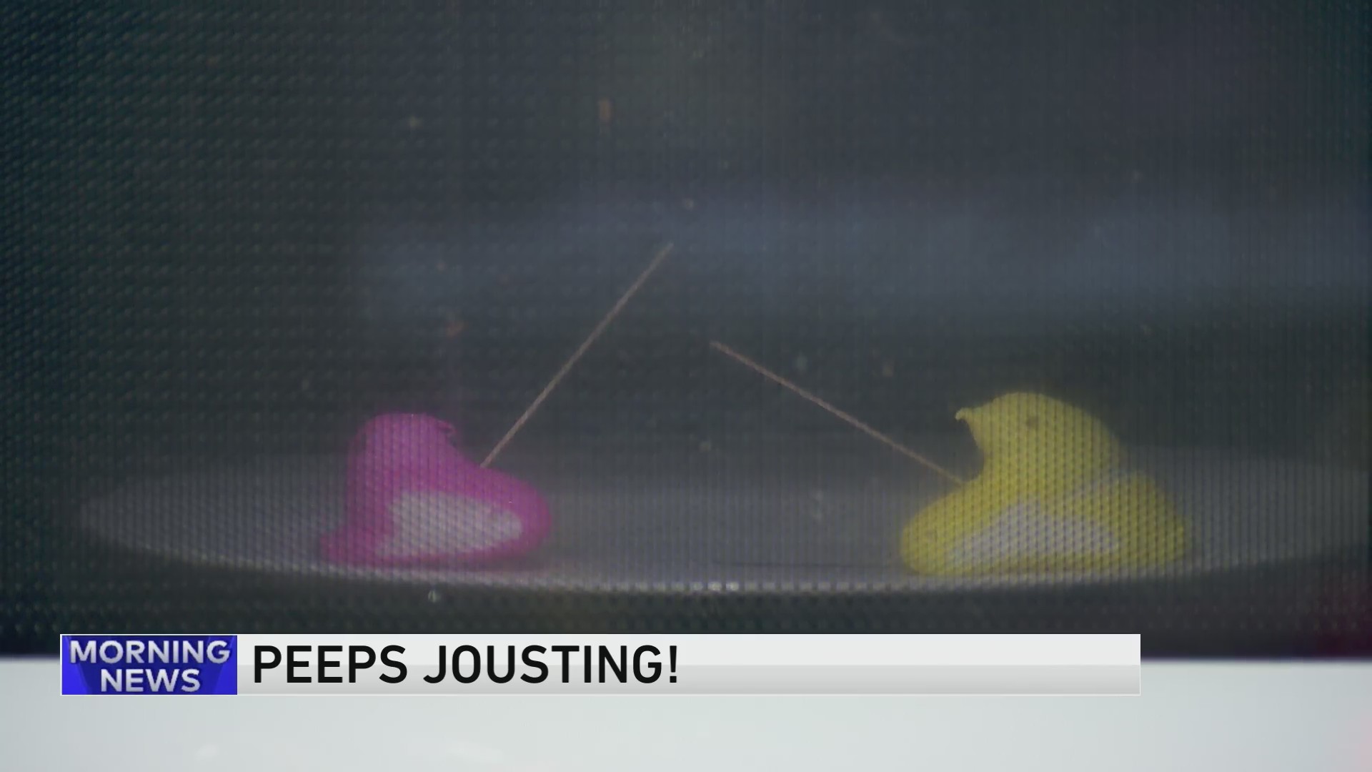 Peeps Jousting for Easter! – WGN-TV
