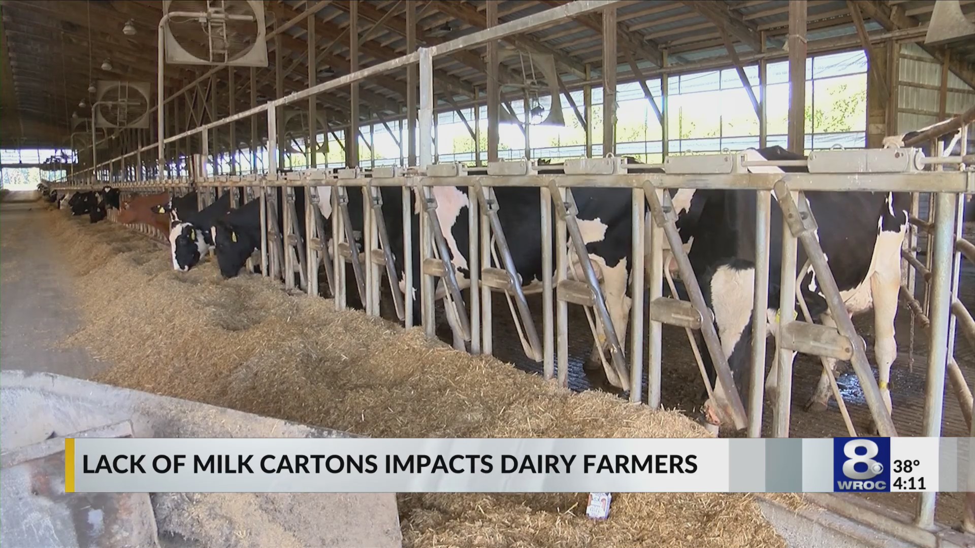Milk carton shortage: How it’s impacting dairy farms – RochesterFirst