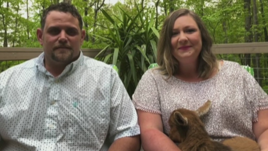 A new trend is taking over high school prom season — goats! | On ...