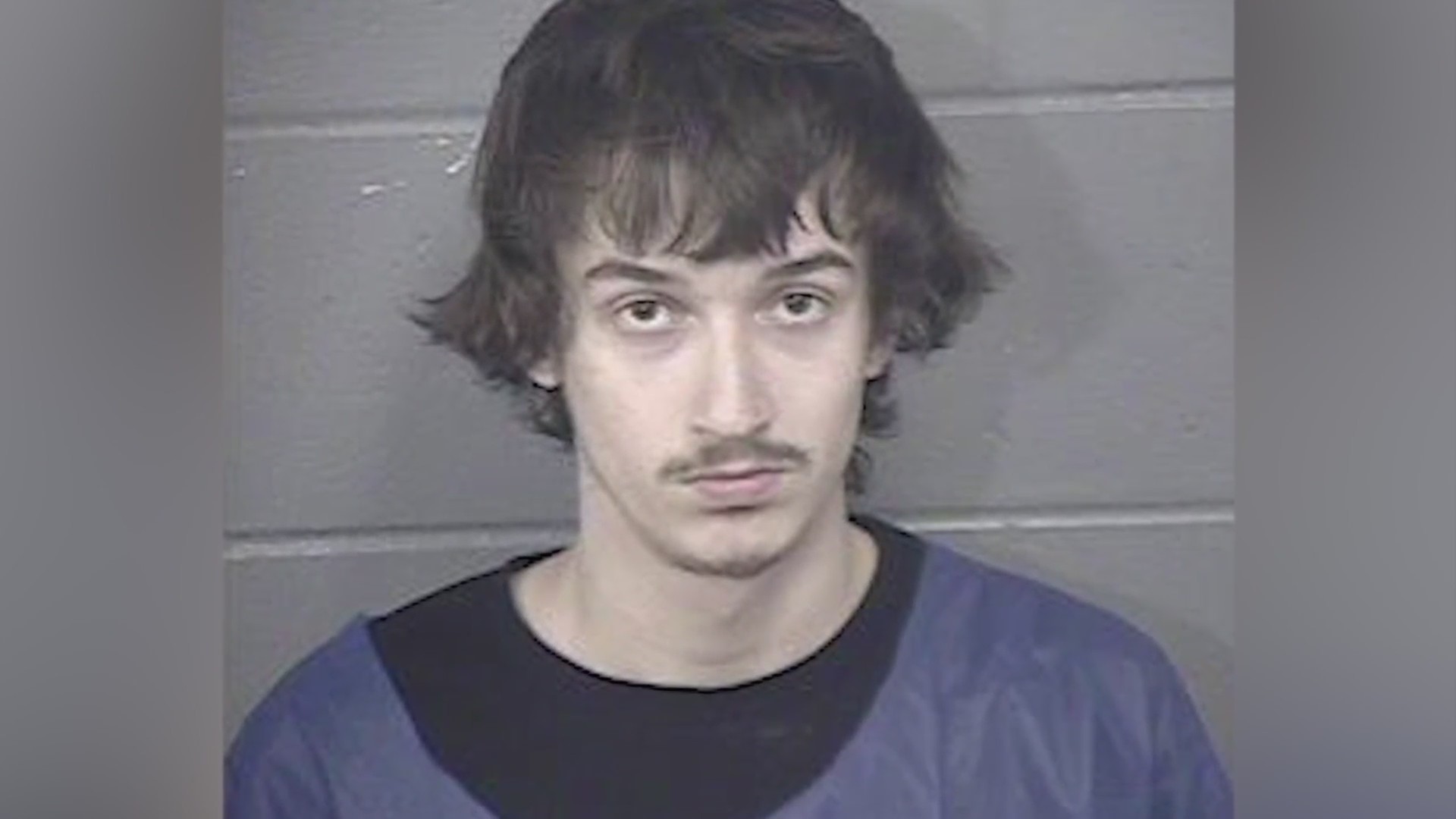 Suspect not impaired in crash that killed KCPD officer, pedestrian, K9 ...