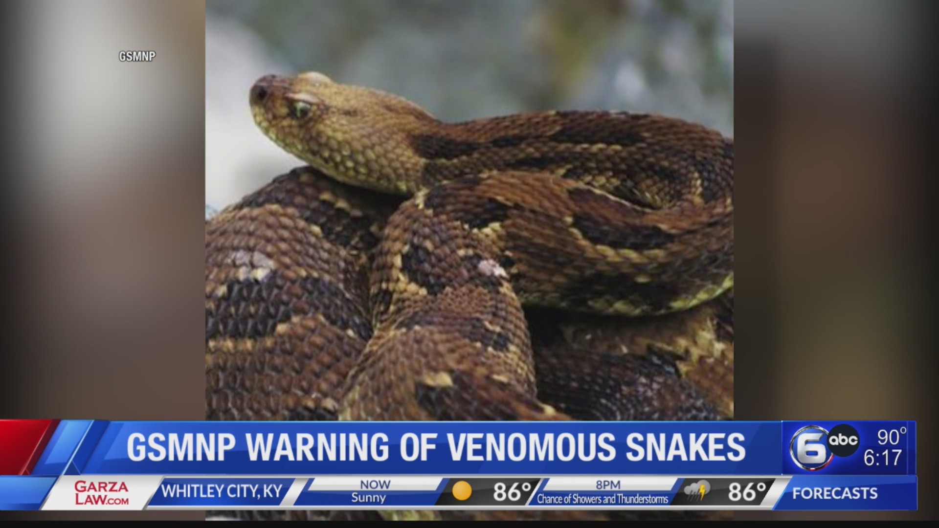 GSMNP warning of venomous snakes – WATE 6 On Your Side