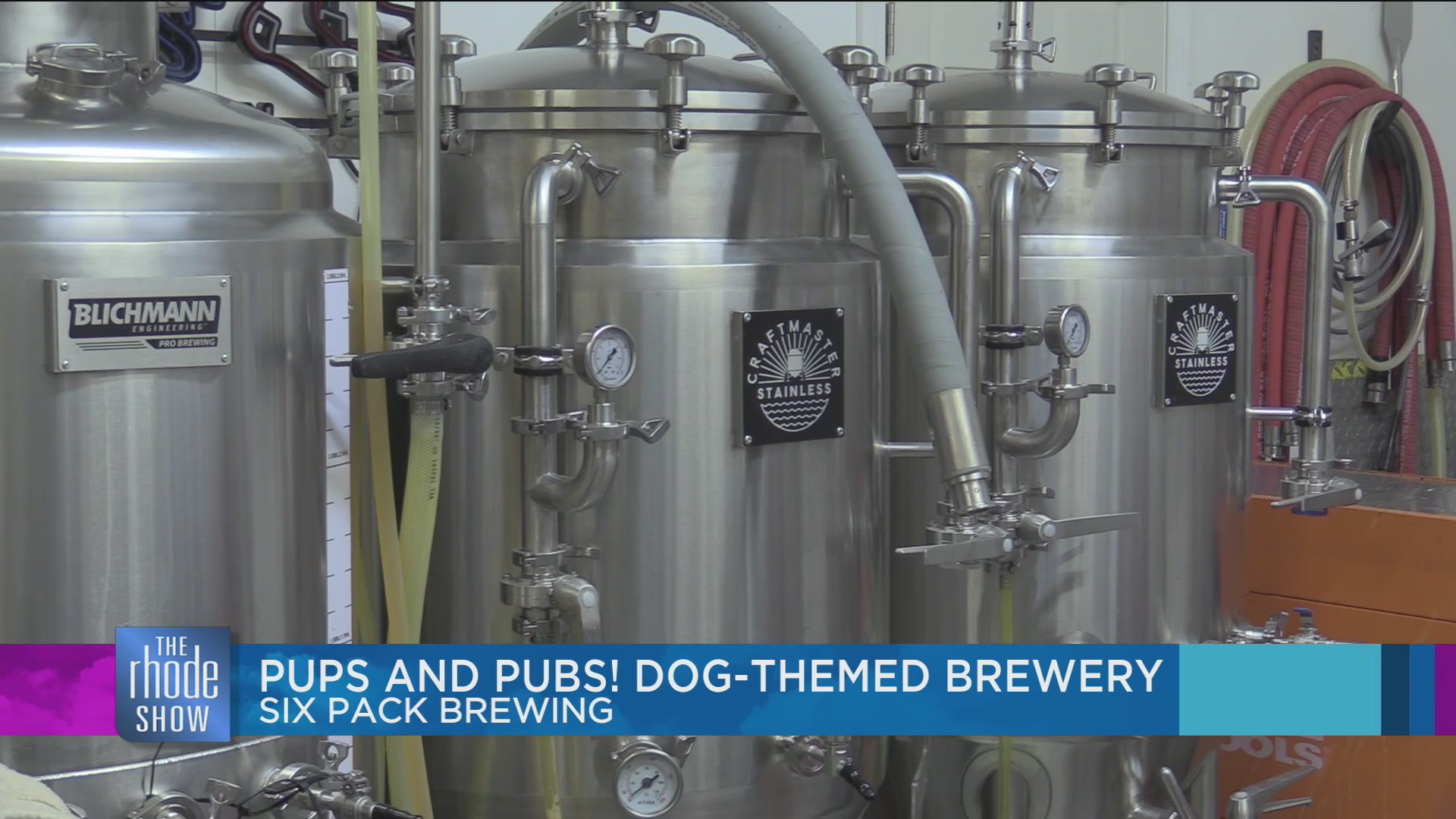 Pups and Pubs! Dog-themed brewery in Bristol – WPRI.com