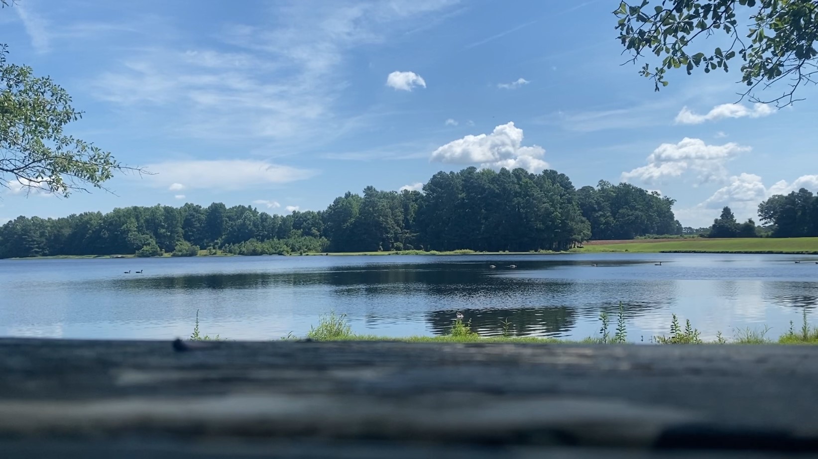 Summer Ventures: Duplin County has sights to see with Cabin Lake County ...