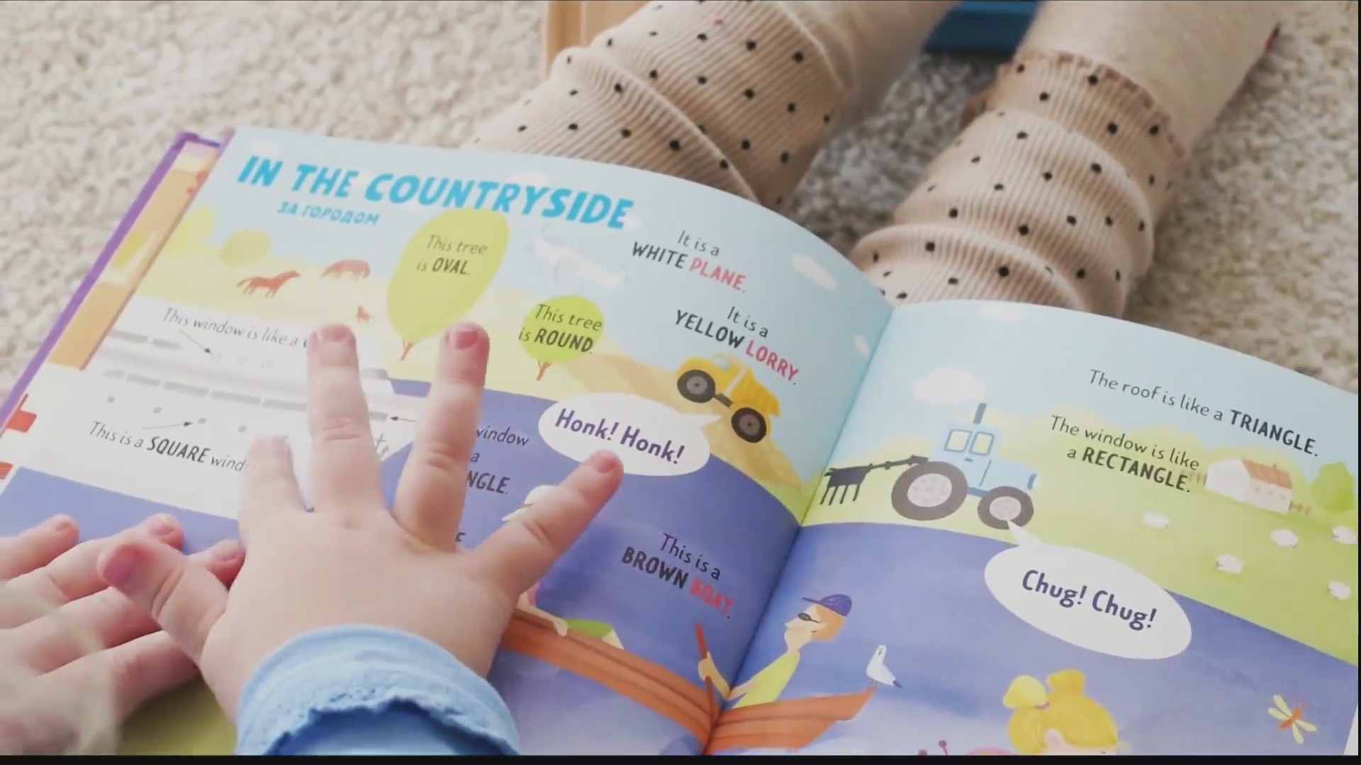Amount of children who read for fun down by nearly 50% – WSAV-TV