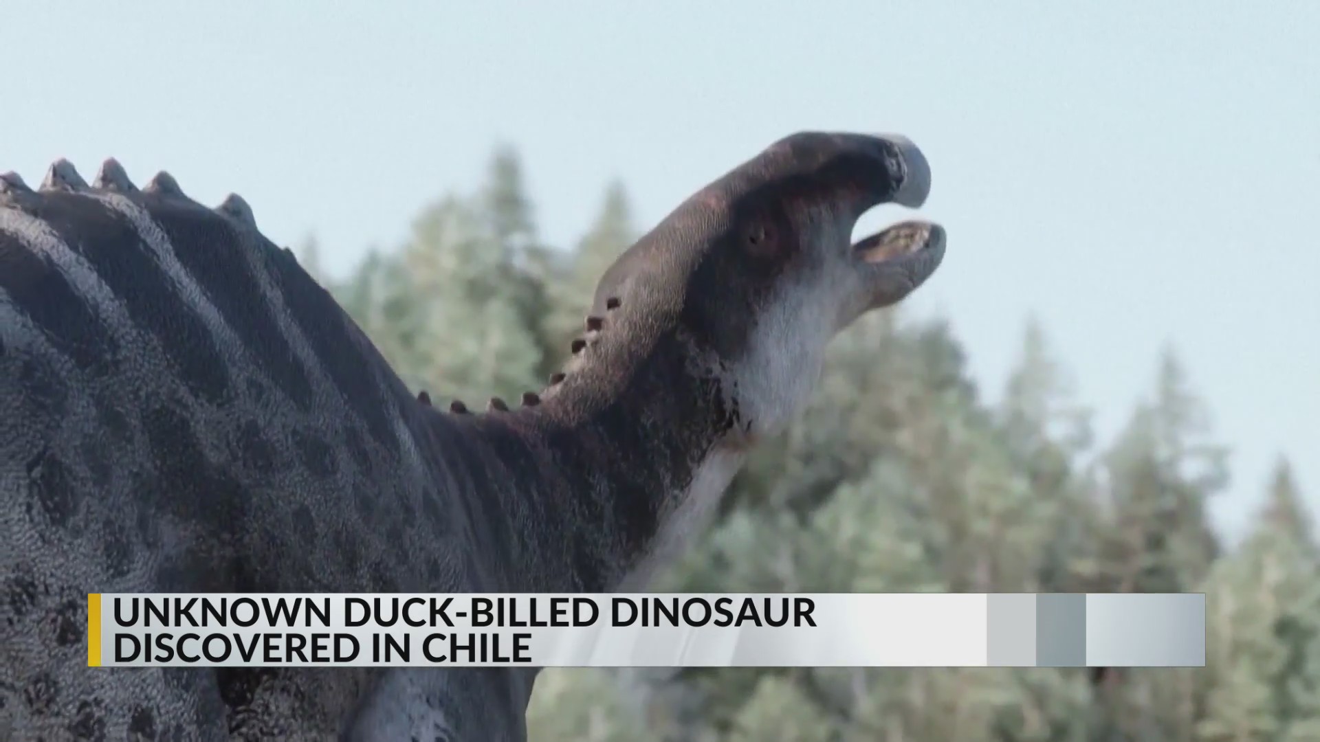 New dinosaur discovered in Chile – KRQE NEWS 13 – Breaking News ...