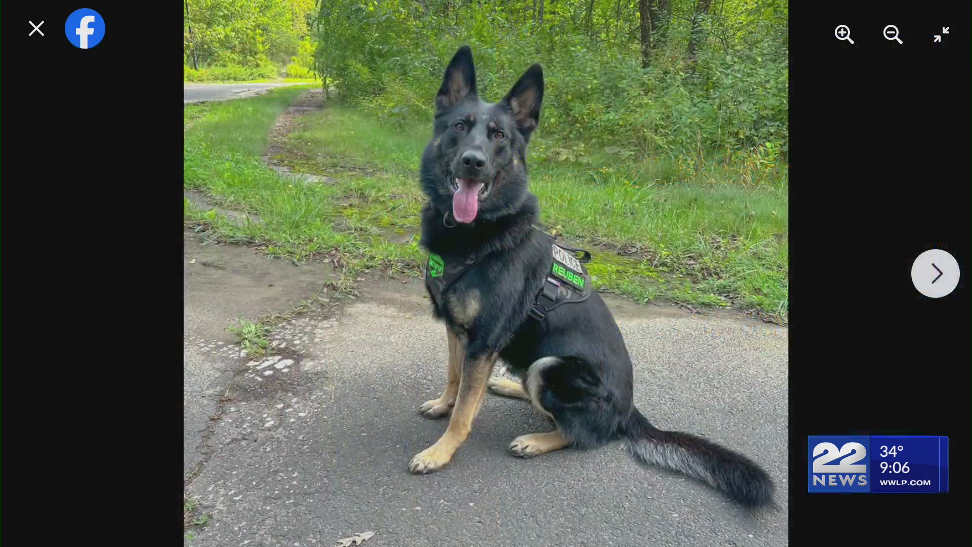 K-9 Reuben of the Longmeadow Police Department helped capture hit-and ...