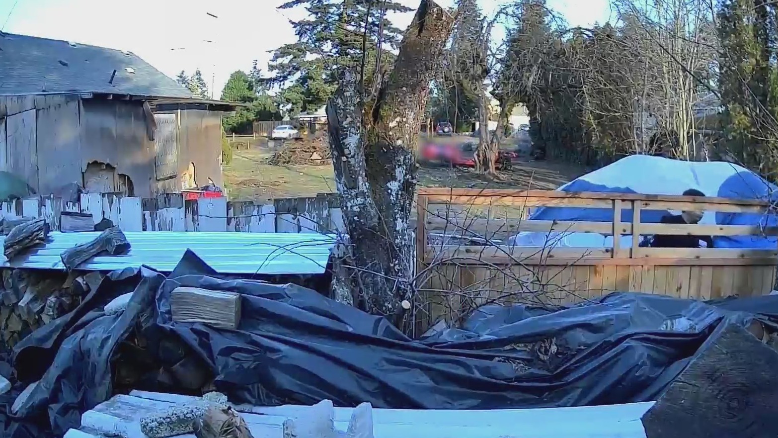 Oregon Secretary of State Shemia Fagan recuses self from OLCC audit ...