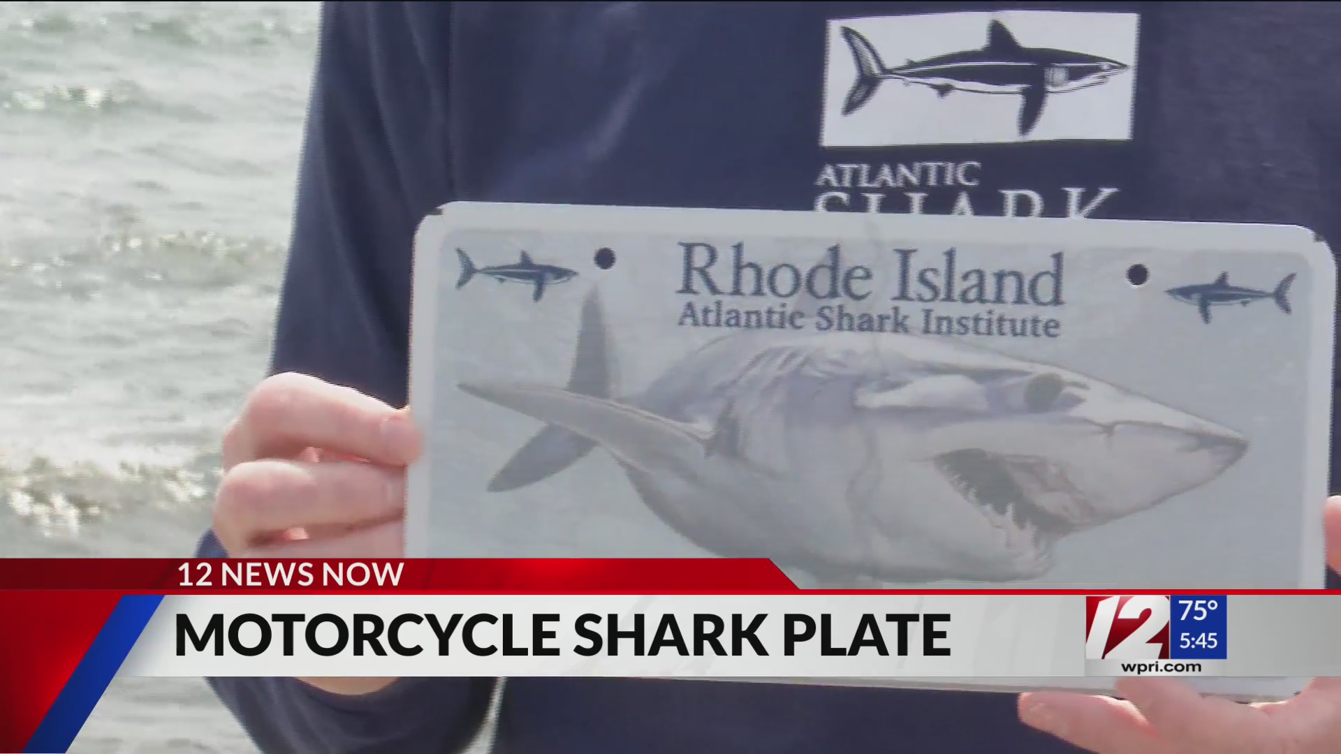 RI shark license plates now available for motorcycles – WPRI.com