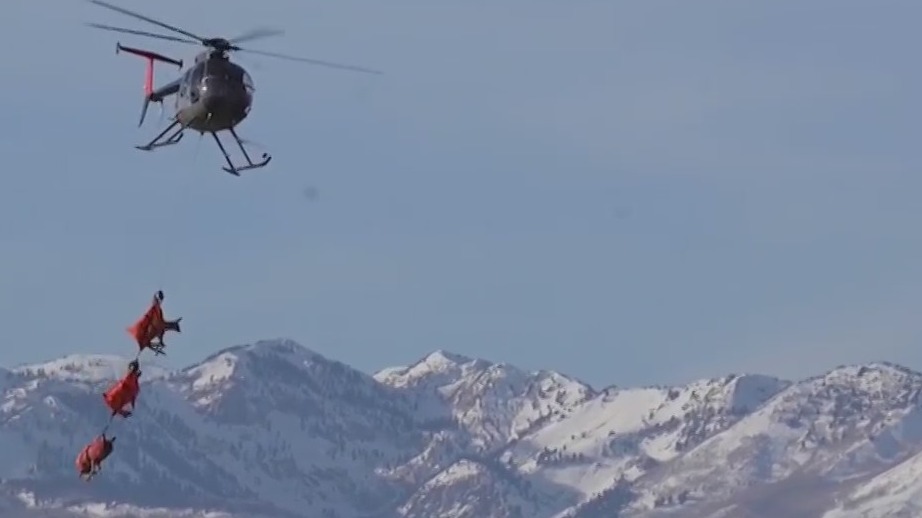 Flying deer in red coats spotted in Utah skies – KTLA