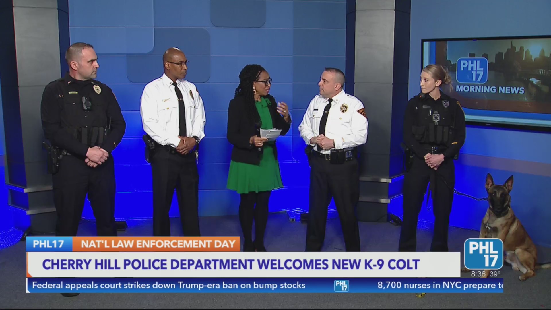 Cherry Hill Police Department welcomes new K-9 Colt – PHL17.com