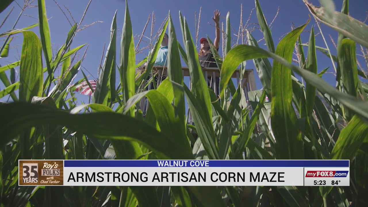 Check out this artisan corn maze in Walnut Cove – FOX8 WGHP